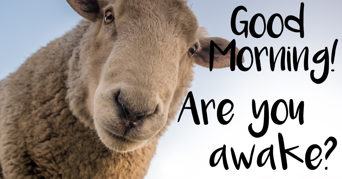 Are You Awake? - Papanui Baptist Church
