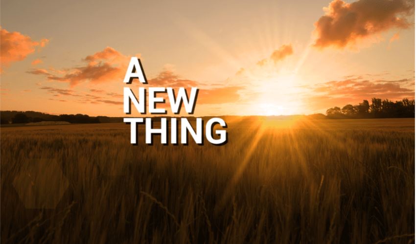 A New Thing - Papanui Baptist Church
